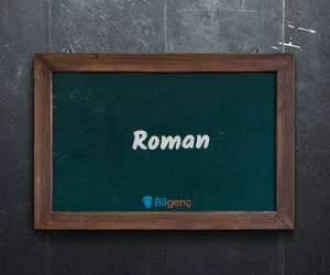 Roman Örnekleri | Uzun ve Kısa Romanlar | Bilgenç