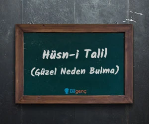 Hüsn-i Talil Nedir? Hüsnü Talil Örnekleri ve Özellikleri | Bilgenç