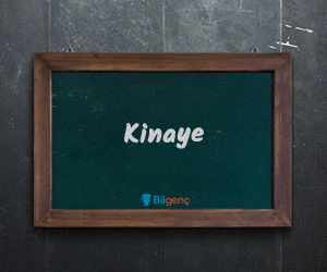 Kinaye Nedir? Kinaye Örnekleri ve Özellikleri | Bilgenç