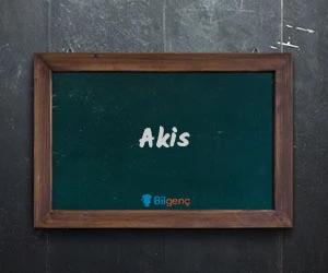 Akis Nedir? Akis Örnekleri ve Özellikleri | Bilgenç