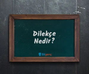 Dilekçe Nasıl Yazılır? | Dilekçenin Kuralları | Bilgenç