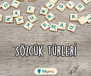 İkilemeler Konu Anlatımı | İkileme Örnekleri ve Özellikleri | Bilgenç