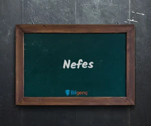 Nefes Nedir? Nefes Örnekleri ve Özellikleri | Bilgenç