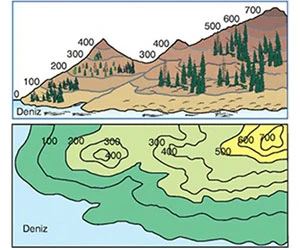 İzohips Haritası Nedir | İzohipslerin Özellikleri Maddeler Halinde ...