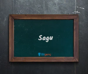 Sagu Nedir? Sagu Örnekleri ve Özellikleri | Bilgenç